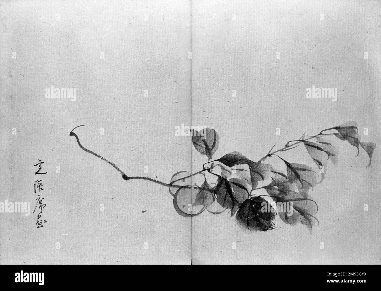 Light color tones Black and White Stock Photos & Images - Alamy