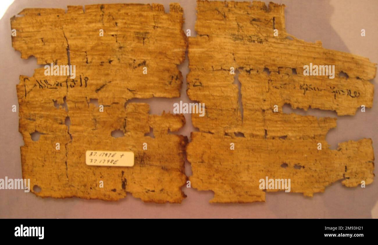 Papyrus Fragments Inscribed in Demotic Papyrus Fragments Inscribed in ...