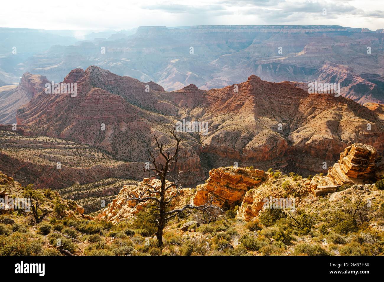 Beautiful landscape of Grand Canyon National Park, Arizona, USA ...