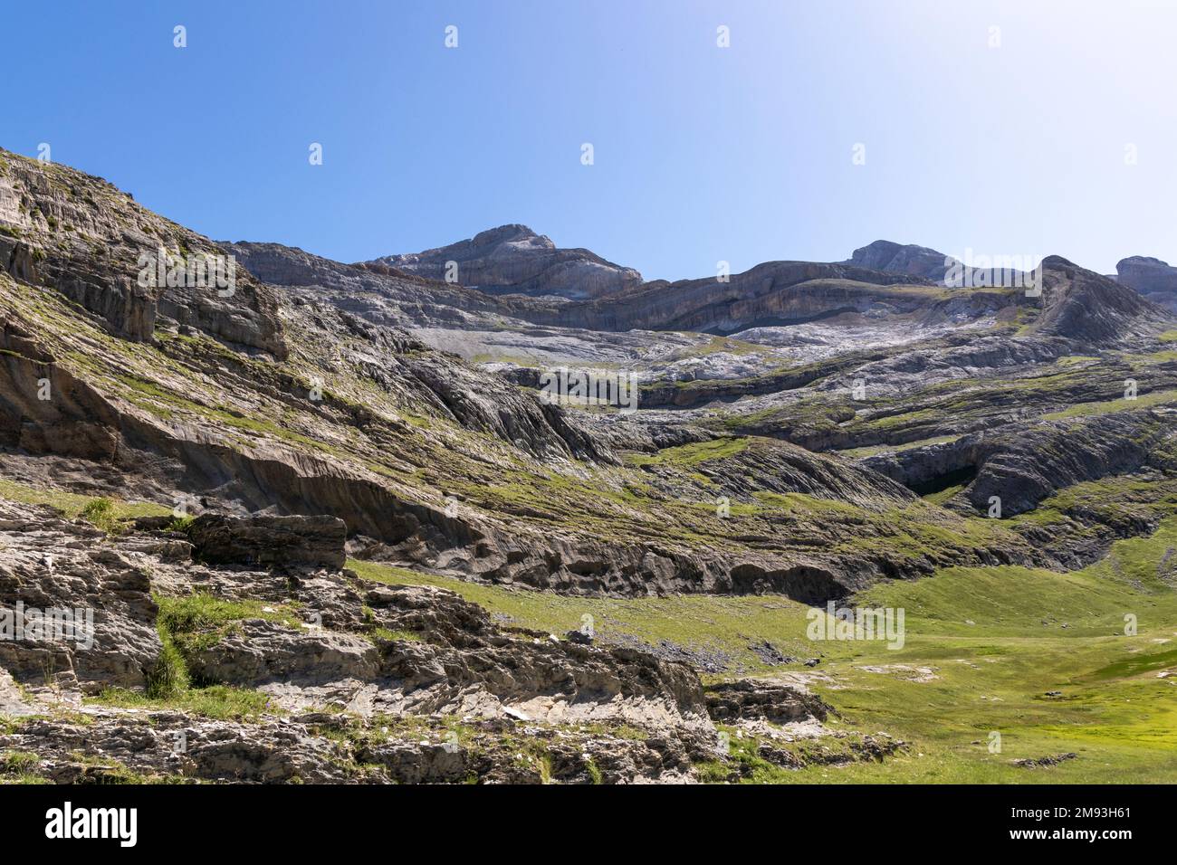landscape in the pyrenees with mountains, green meadow and flowers ...