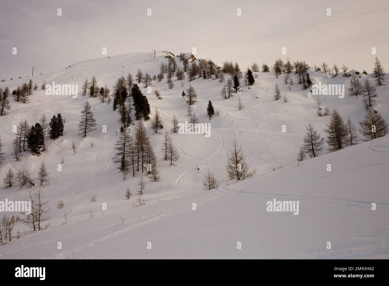 Winter snowy landscape. Nature scenery. Winter background. Alpine ...