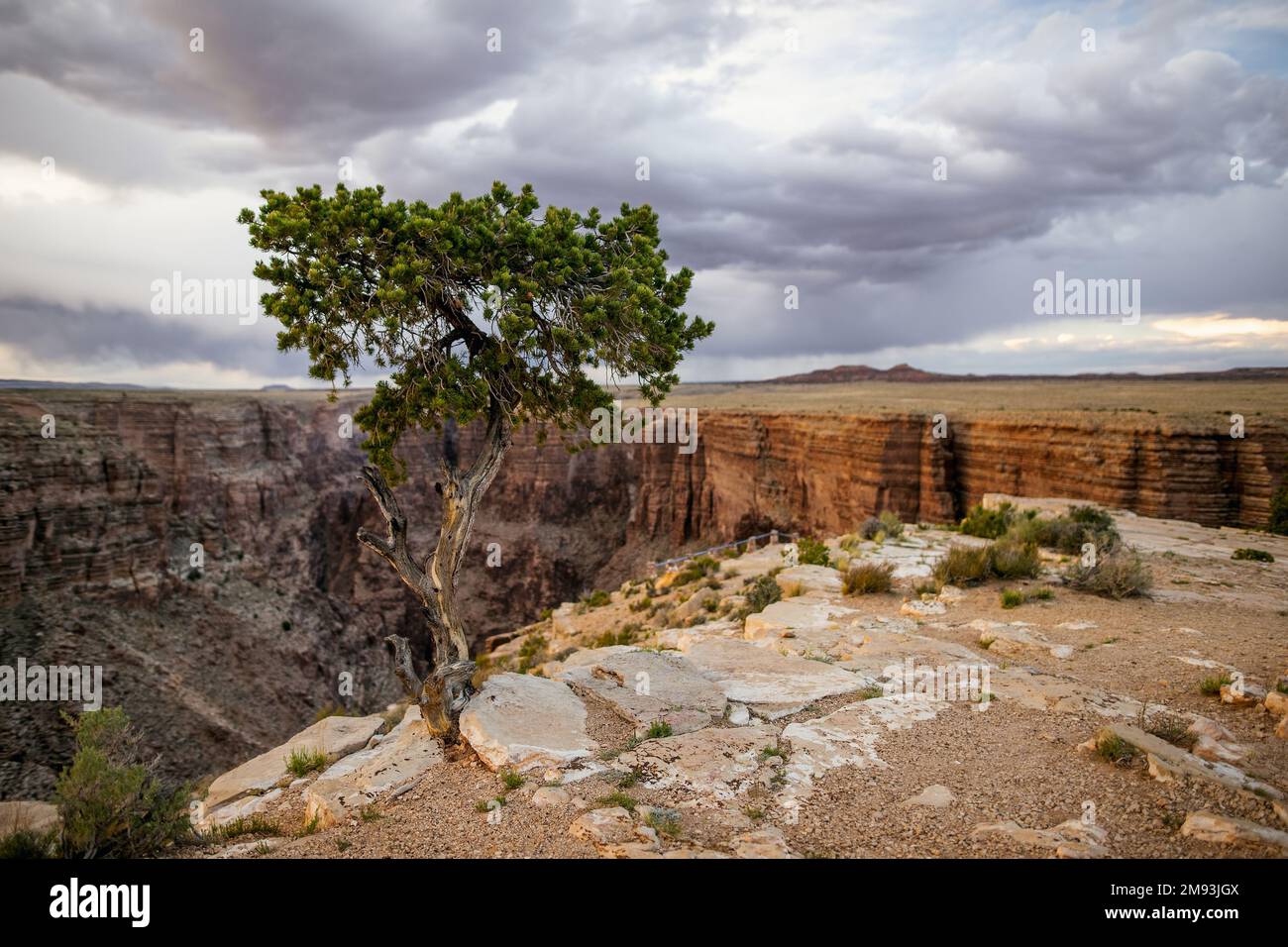 Beautiful landscape of Grand Canyon National Park, Arizona, USA ...