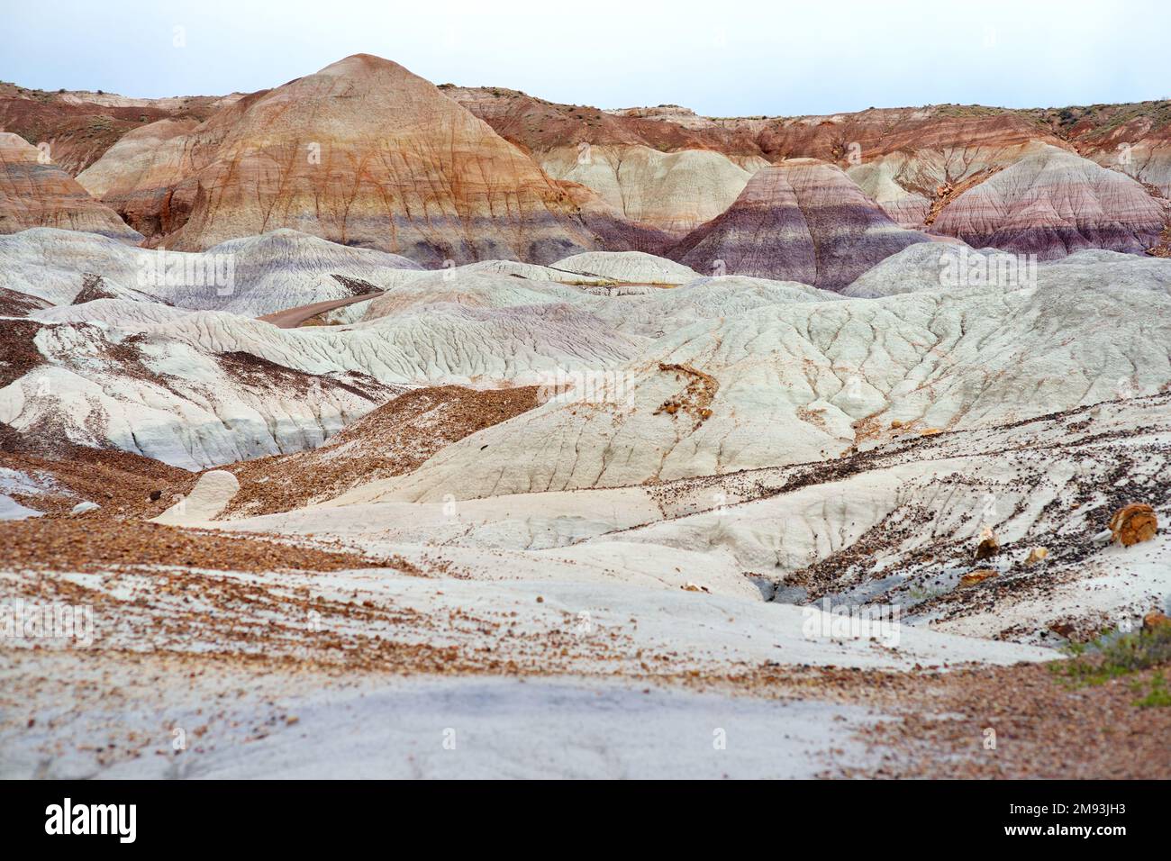 Striped purple sandstone formations of Blue Mesa badlands in Petrified ...