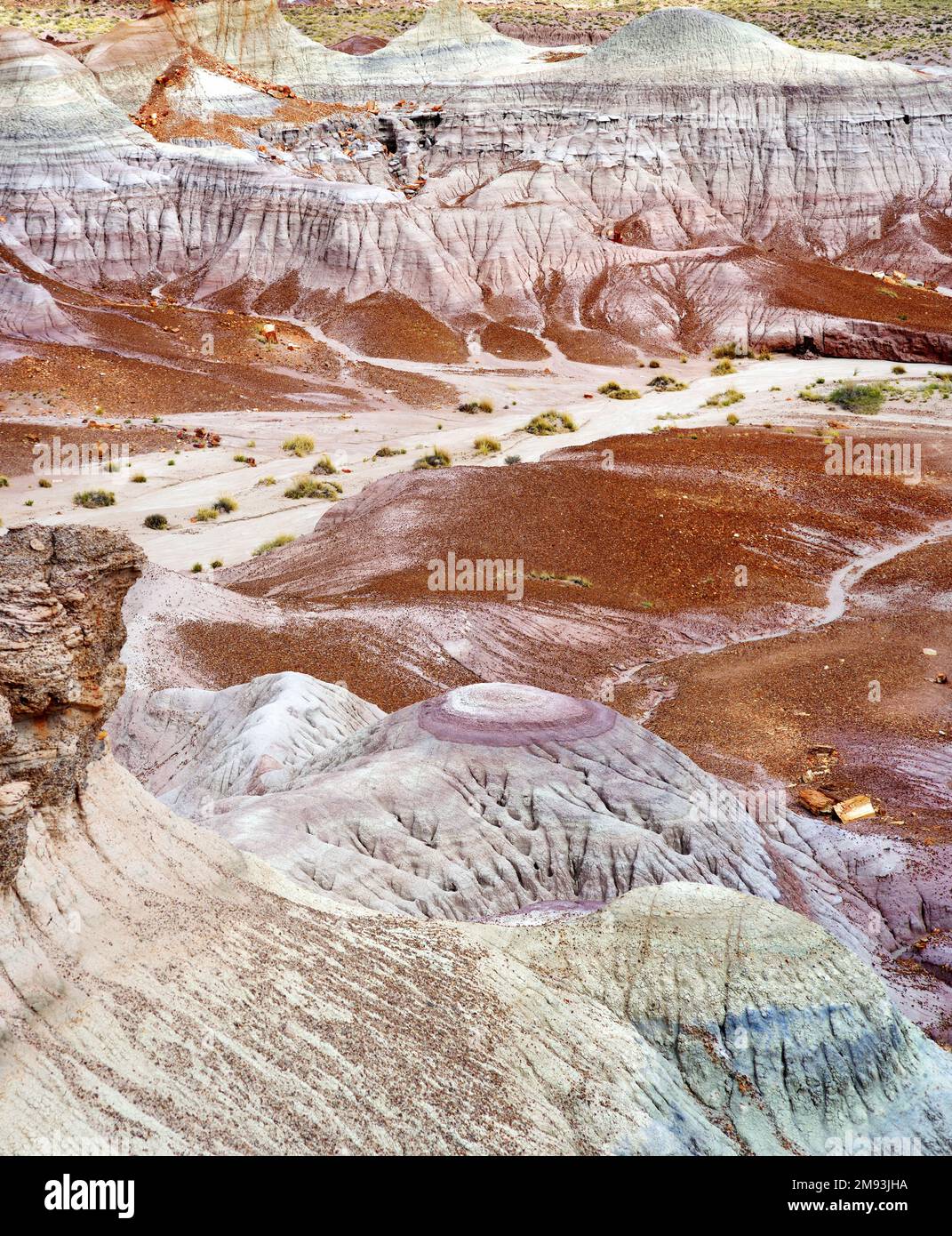 Striped purple sandstone formations of Blue Mesa badlands in Petrified ...