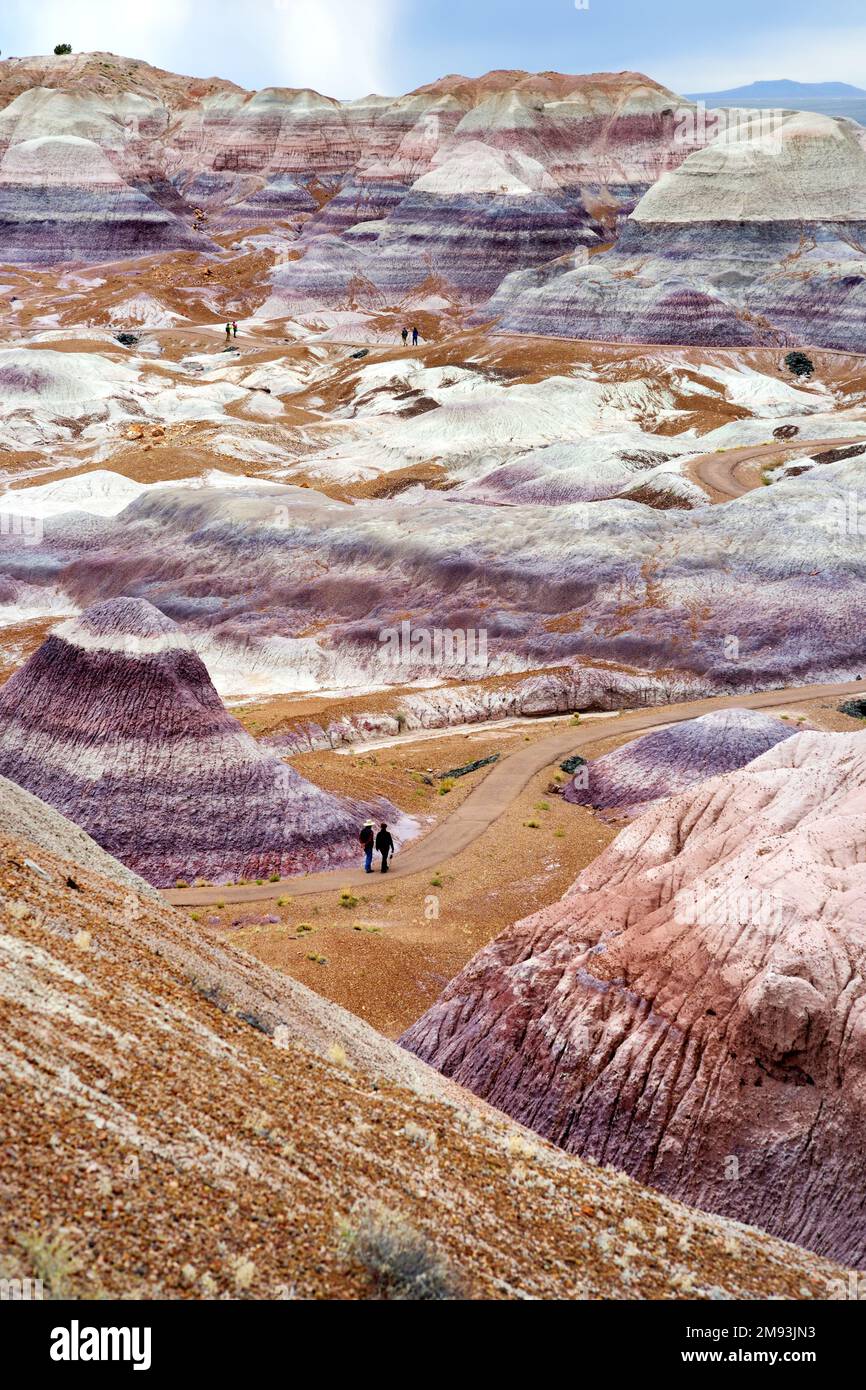 Striped purple sandstone formations of Blue Mesa badlands in Petrified ...