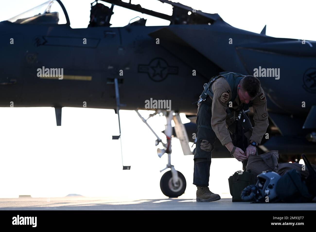 A U.S. Air Force F-15E weapons system officer, assigned to the 389th ...