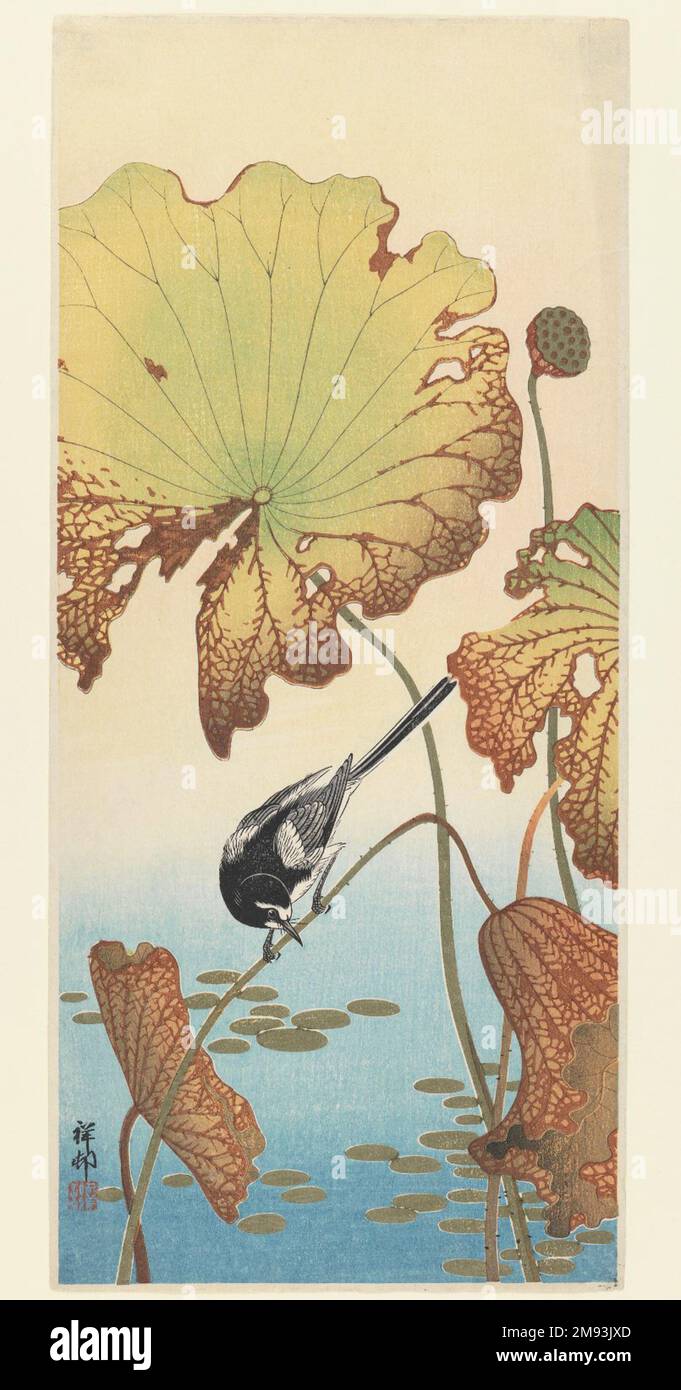 Wagtail and Lotus Ohara Koson (Shoson) (Japanese, 1877-1945). Wagtail ...