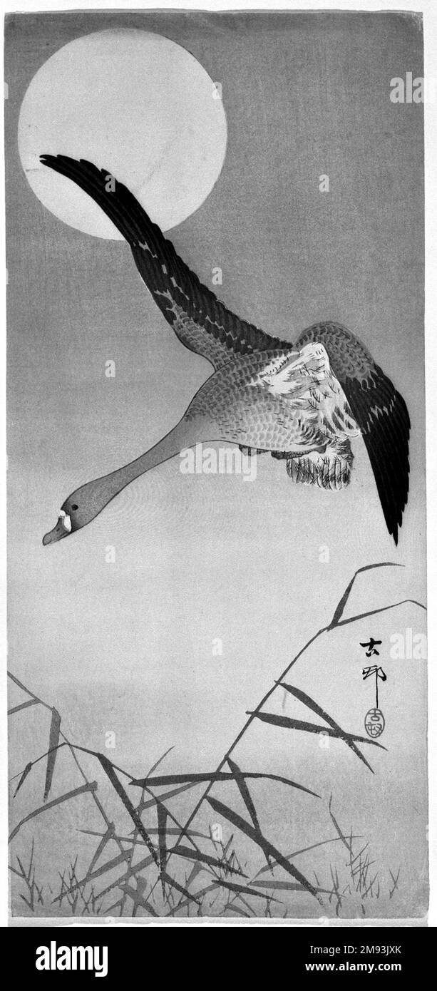 Goose in Flight with Moon Ohara Koson (Shoson) (Japanese, 1877-1945 ...