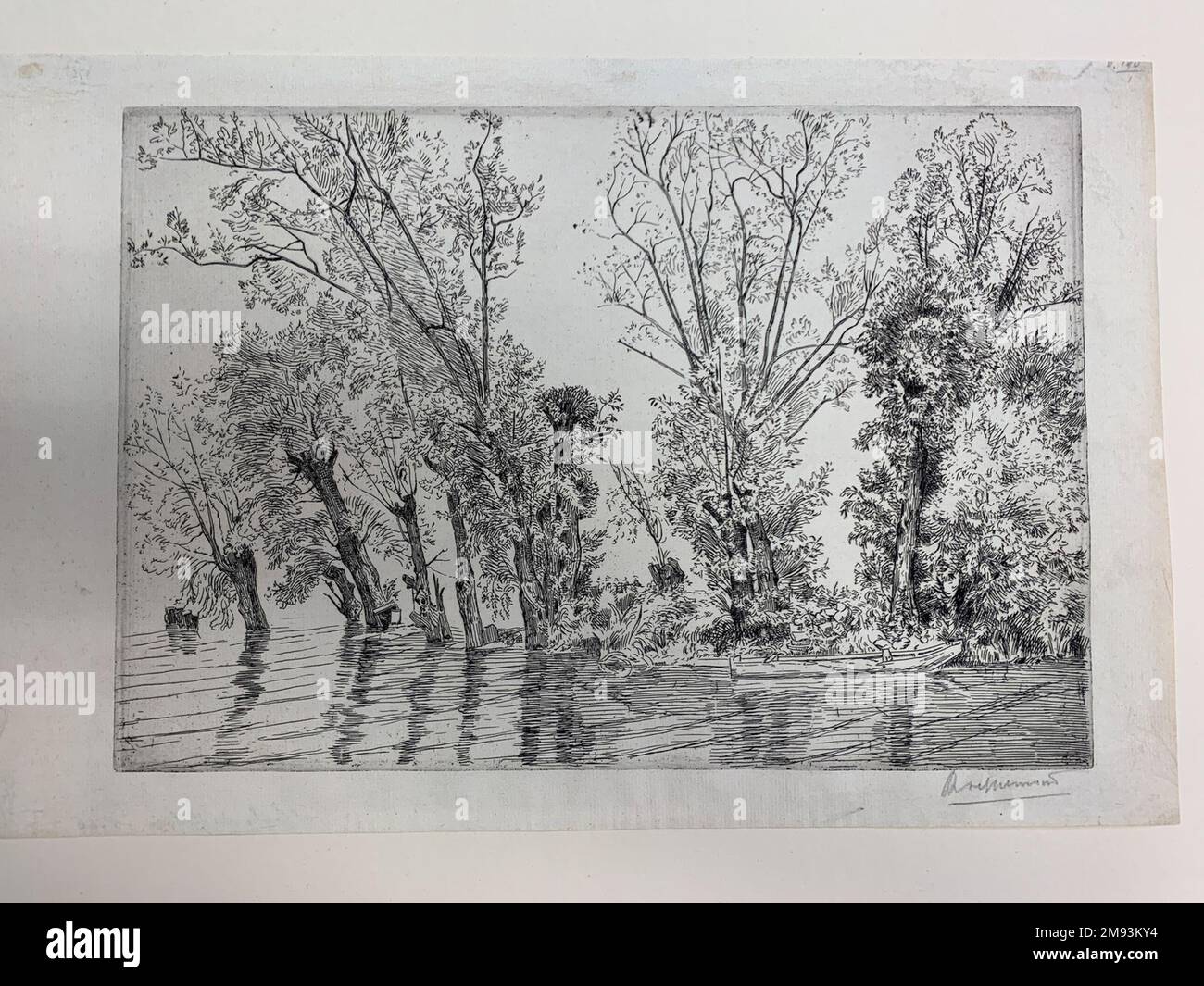 The Willows at Mottiaux (Les saules des Mottiaux) Félix Bracquemond ...