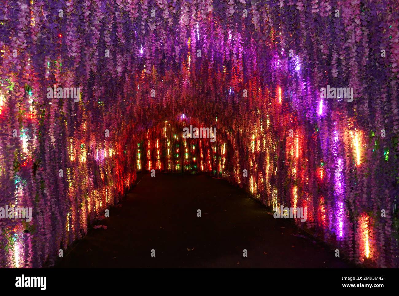 Los Angeles, California, USA 12th January 2023 Twinkle Tunnel at Zoo ...