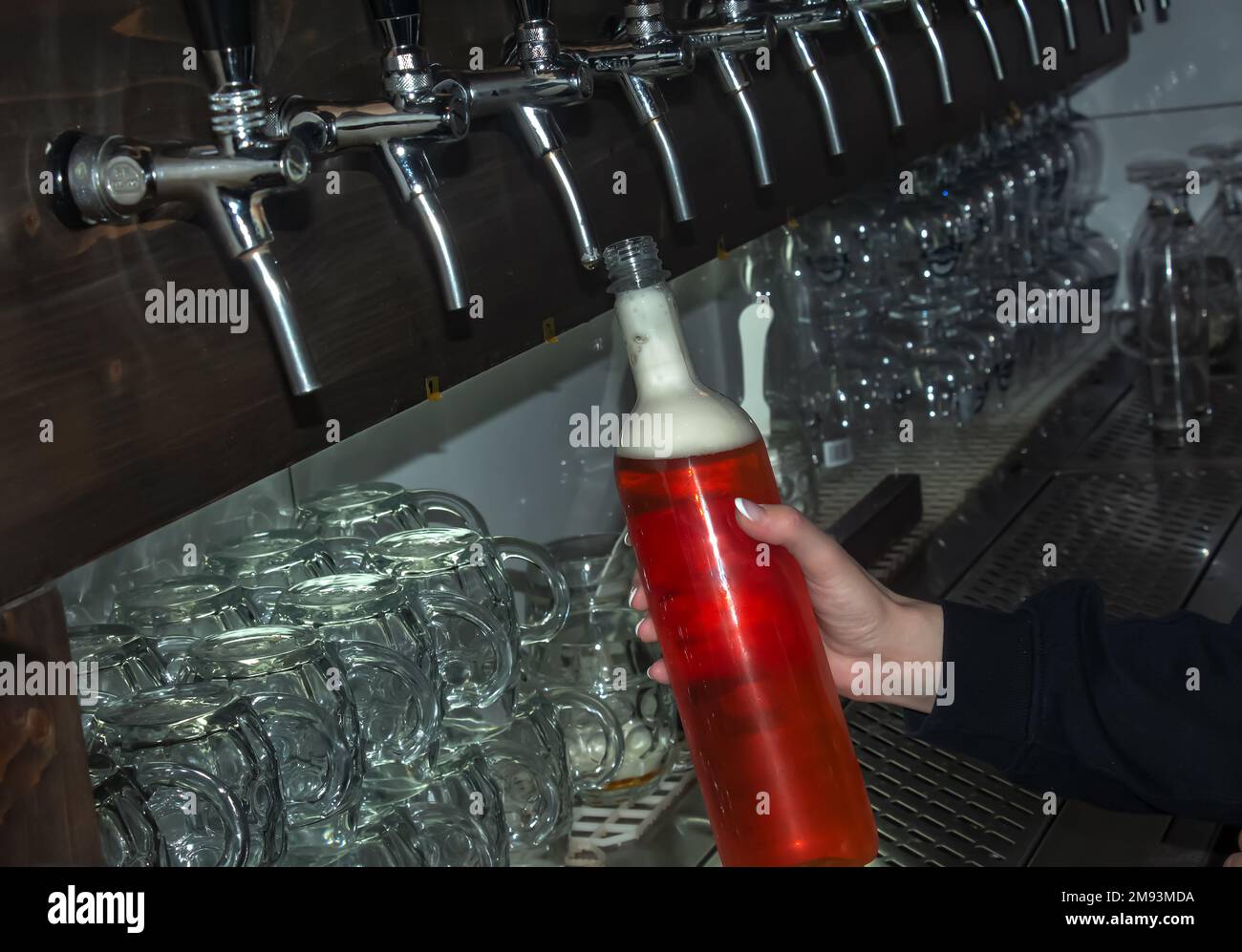 The hand of a bartender girl at a beer tap pours draft beer into a ...
