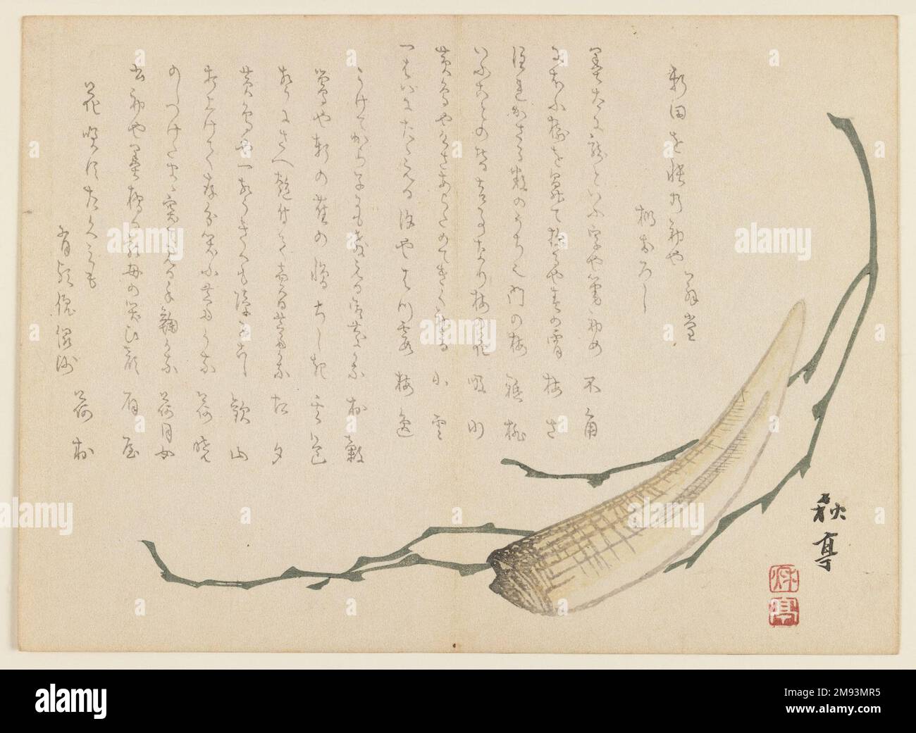 Seaweed and Daikon Ryosai (Japanese). Seaweed and Daikon, ca. 1850 ...