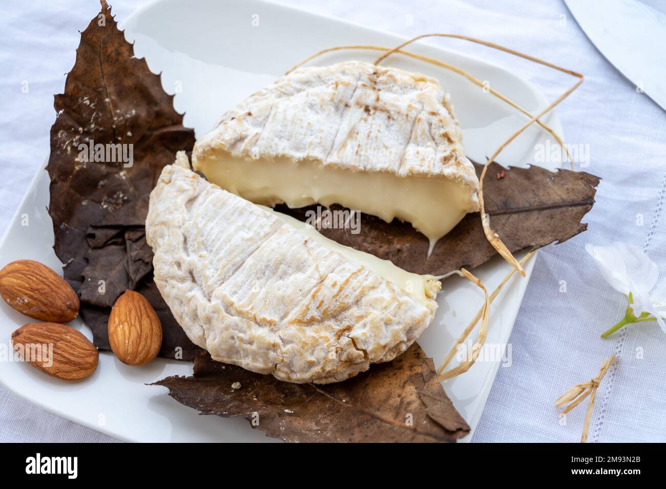 French mountains cheese banon made in Alpes-de-haute-provence wrapped ...