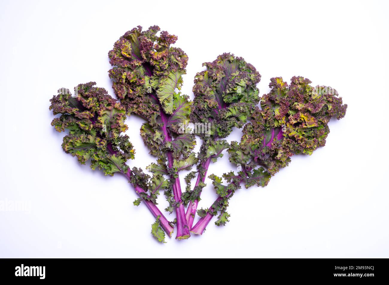 Leaves of winter vegetable purple kale cabbage on white background ...