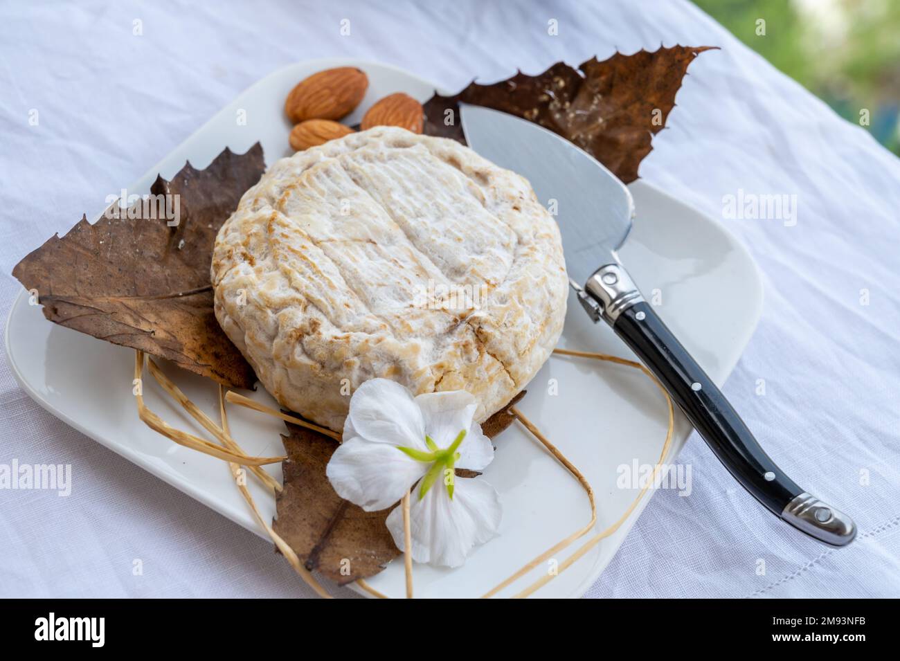 French mountains cheese banon made in Alpes-de-haute-provence wrapped ...