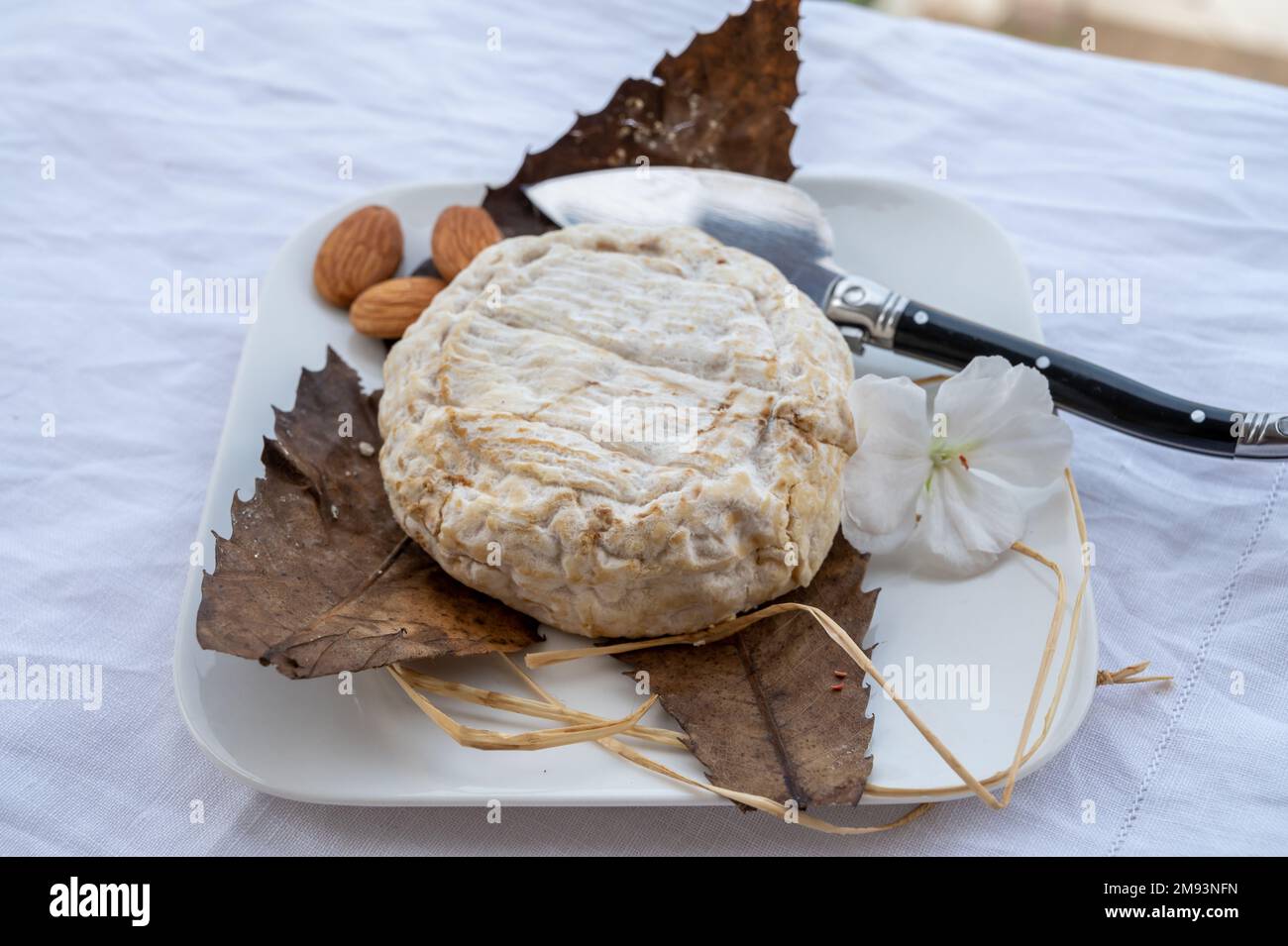 French mountains cheese banon made in Alpes-de-haute-provence wrapped ...