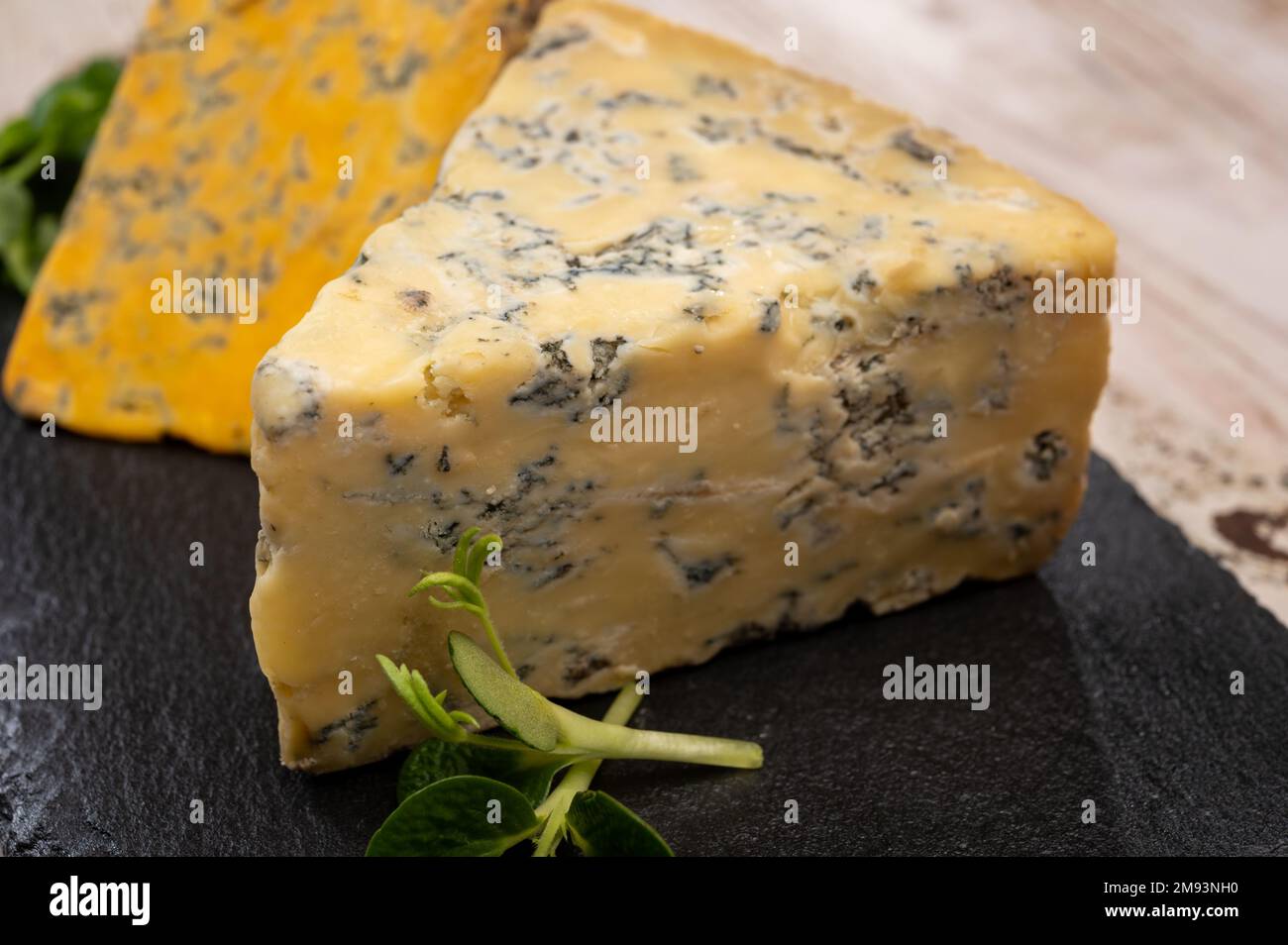 Cheese collection, English old shropshire blue and stilton blue cheeses ...