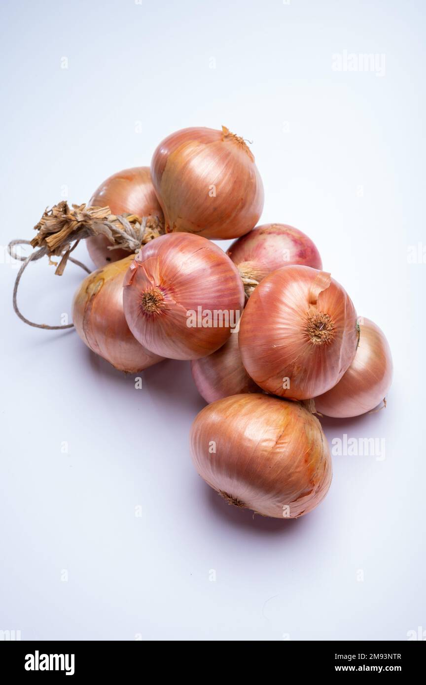 Bunch of french AOP pink onions from Roscoff village in Brittany ...