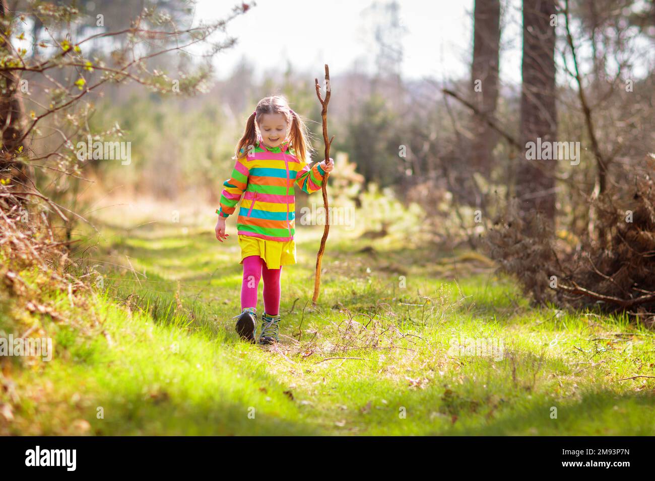 Little girl camping and hiking in sunny summer forest. Kids hike in the ...