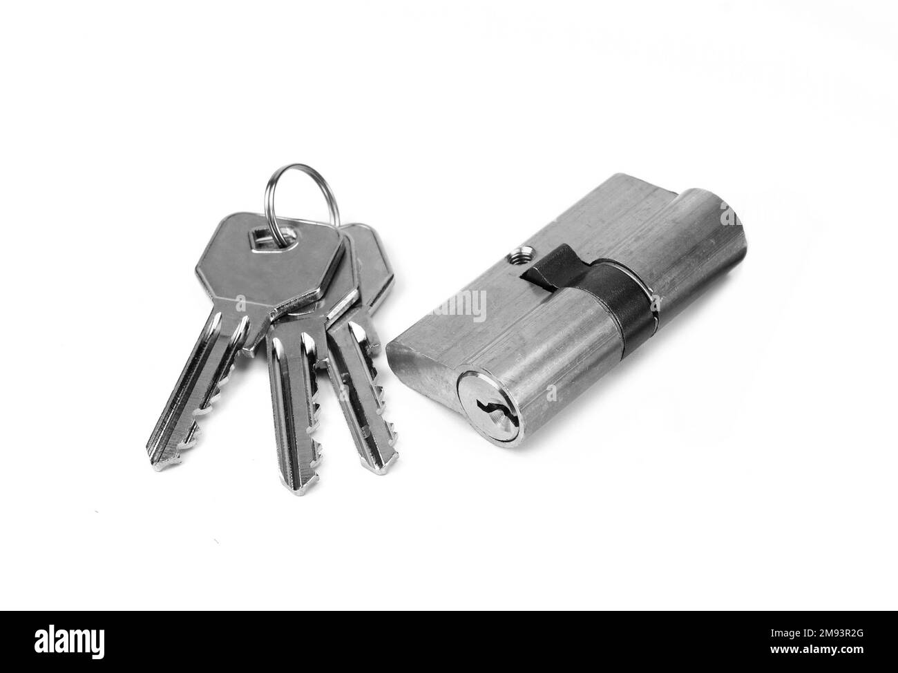 Pin tumbler of cylinder lock internal mechanism with keys on white ...