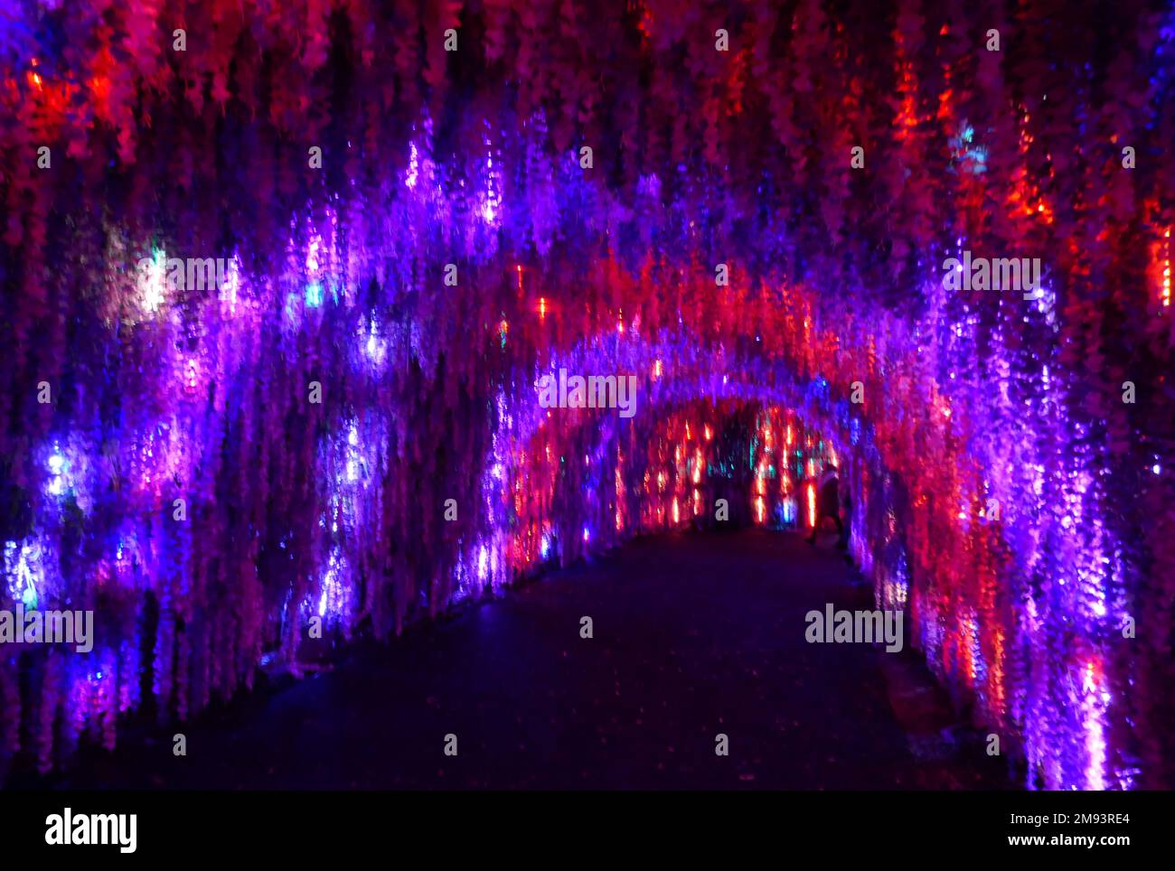 Los Angeles, California, USA 12th January 2023 Twinkle Tunnel at Zoo ...