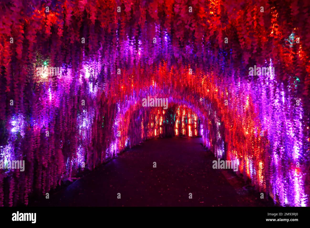 Los Angeles, California, USA 12th January 2023 Twinkle Tunnel at Zoo ...