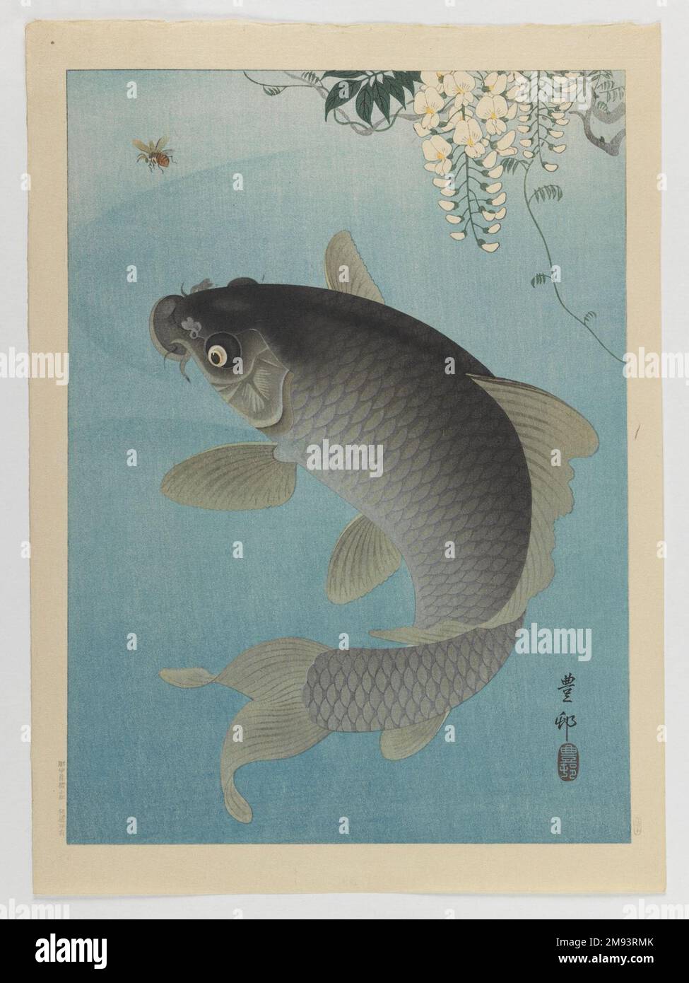 Carp and Wisteria Ohara Koson (Shoson) (Japanese, 1877-1945). , 1927 ...