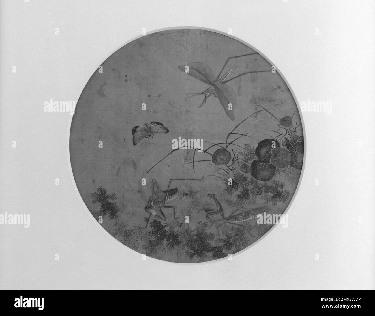 Four Insects in a Garden Setting , 18th-19th century. Ink color on silk ...