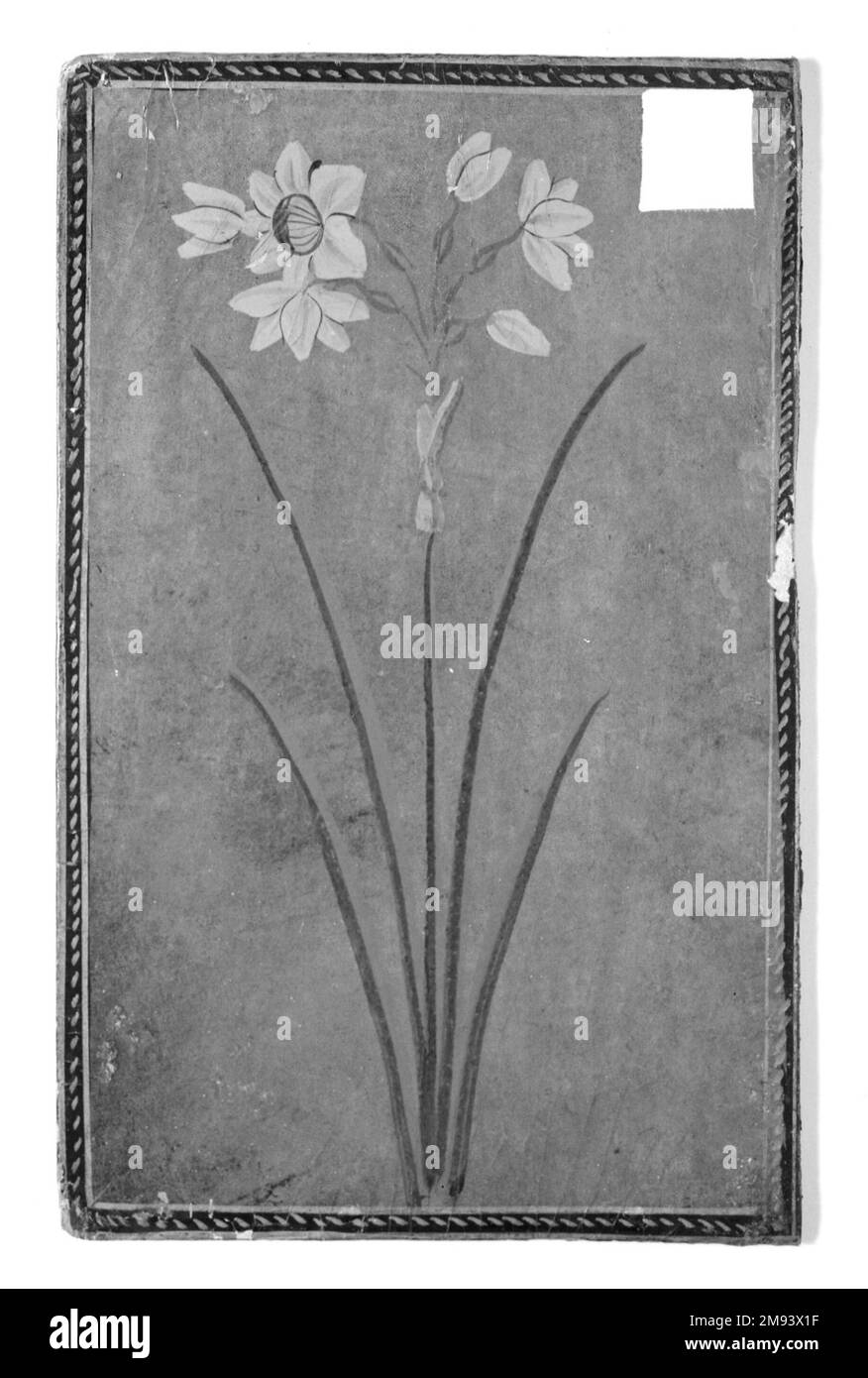 6 1 4 x 10 Black and White Stock Photos & Images - Alamy