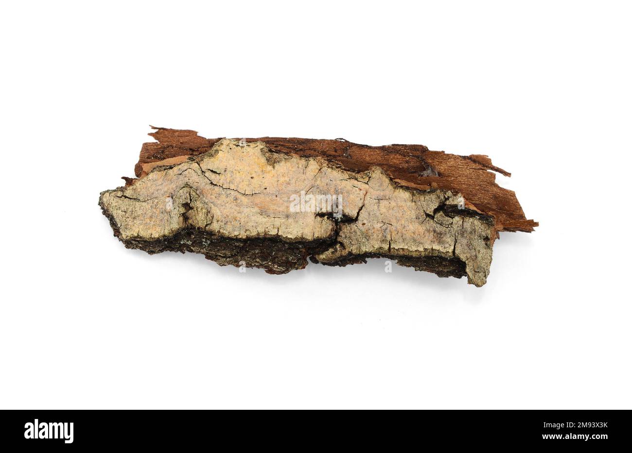 Tree bark isolated on a white background. piece of bark Stock Photo - Alamy