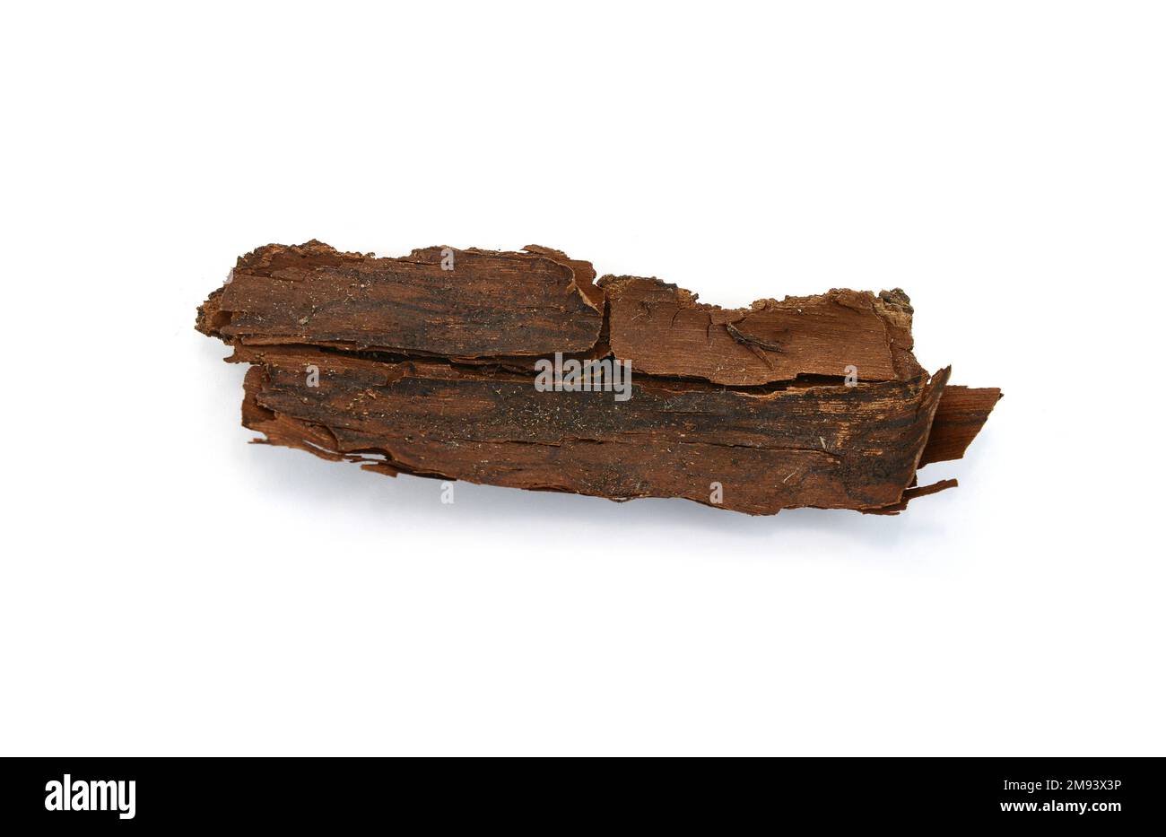 Tree bark isolated on a white background. piece of bark inside Stock ...