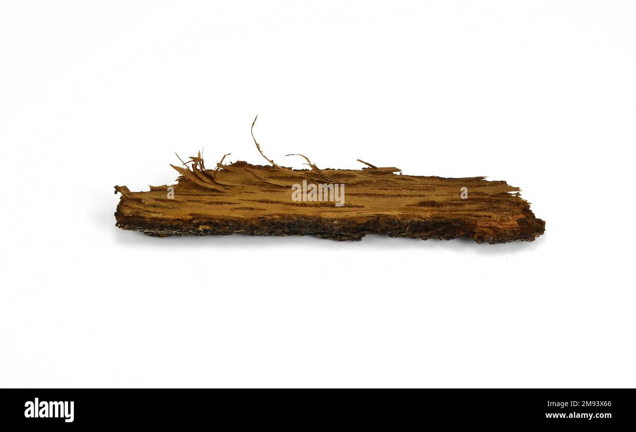 Tree bark isolated on a white background. piece of bark inside Stock ...