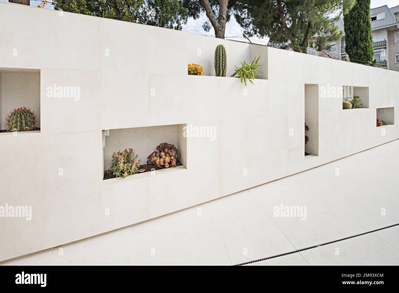 Marble wall of a plot with niches filled with various cacti Stock Photo ...