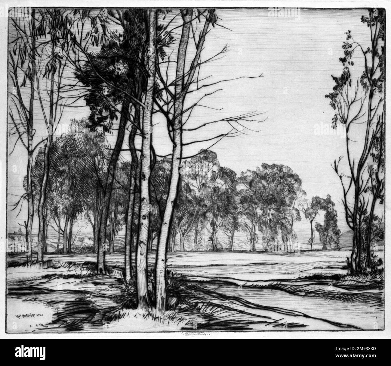 Las gomas hi-res stock photography and images - Alamy