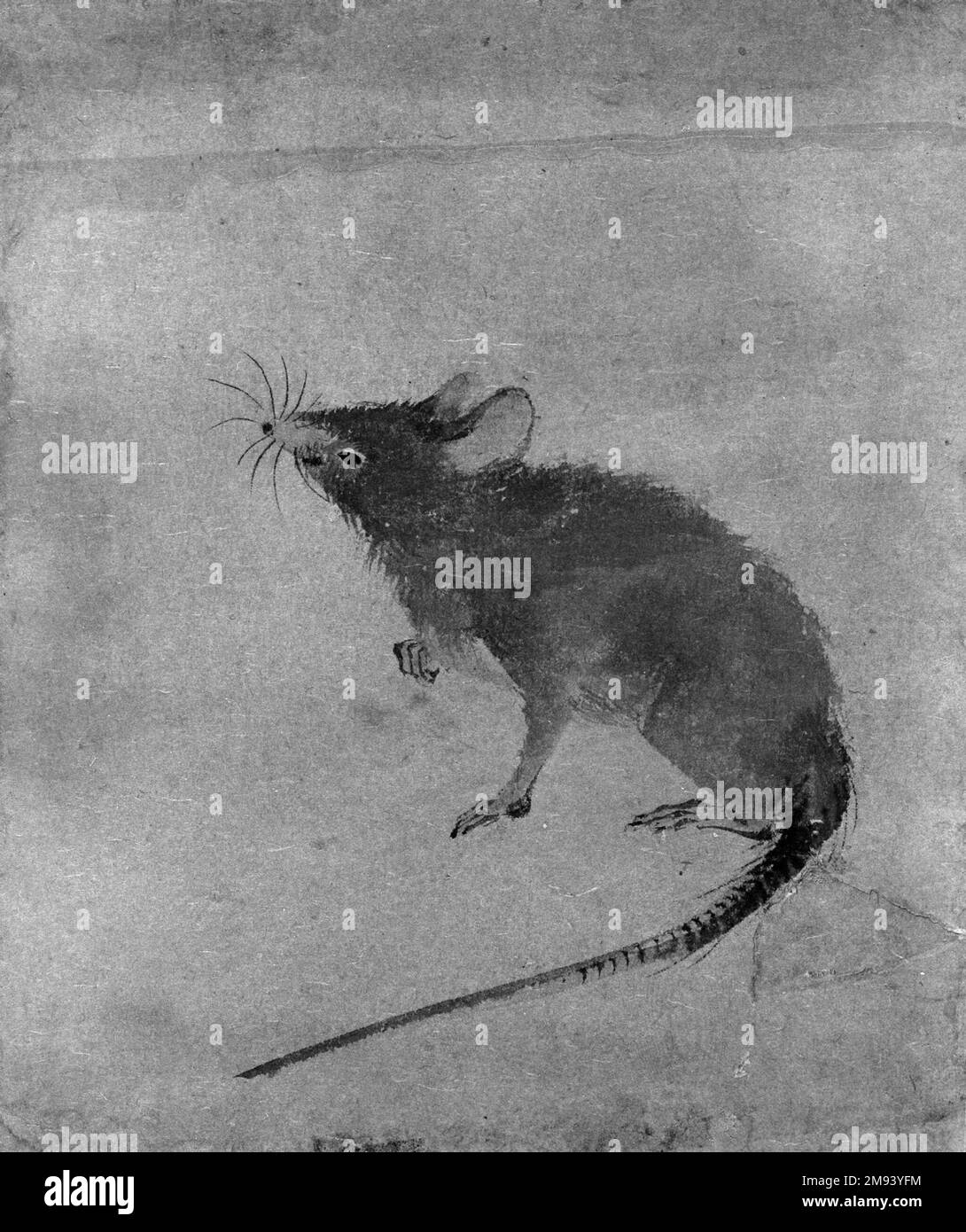 Mouse Mouse, 19th century. ink and sepia on paper, 7 1/2 x 6 3/8 in ...