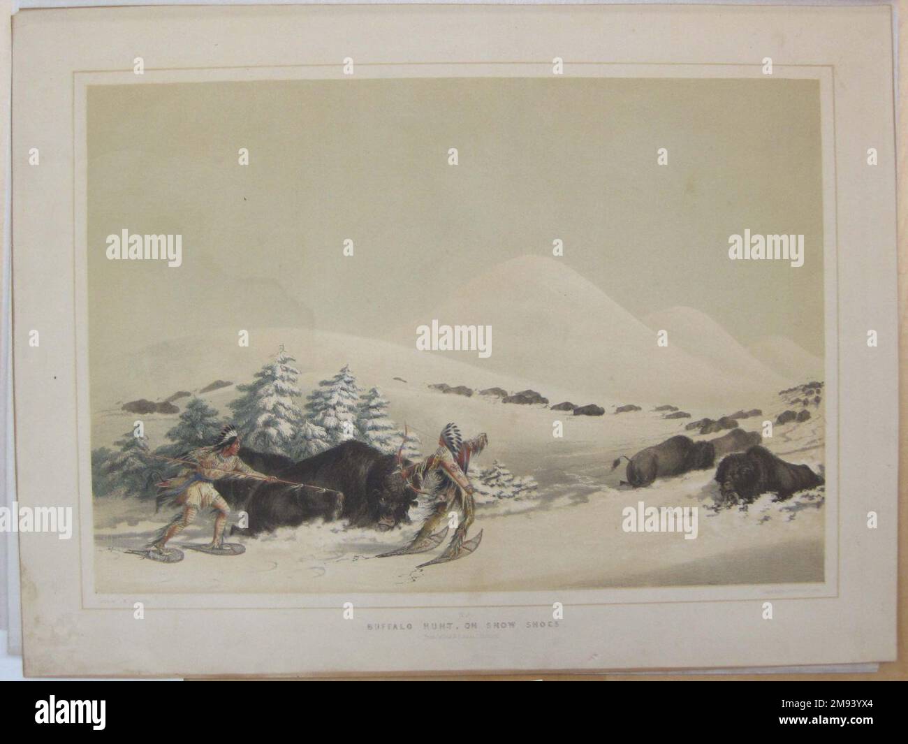 Buffalo Hunt, on Snow Shoes George Catlin (American, 1796-1872 ...