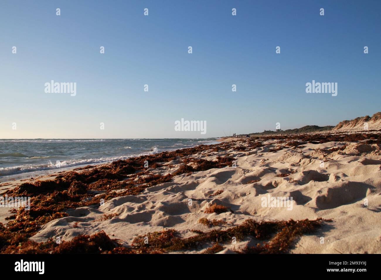 Yanchep beach hi-res stock photography and images - Alamy