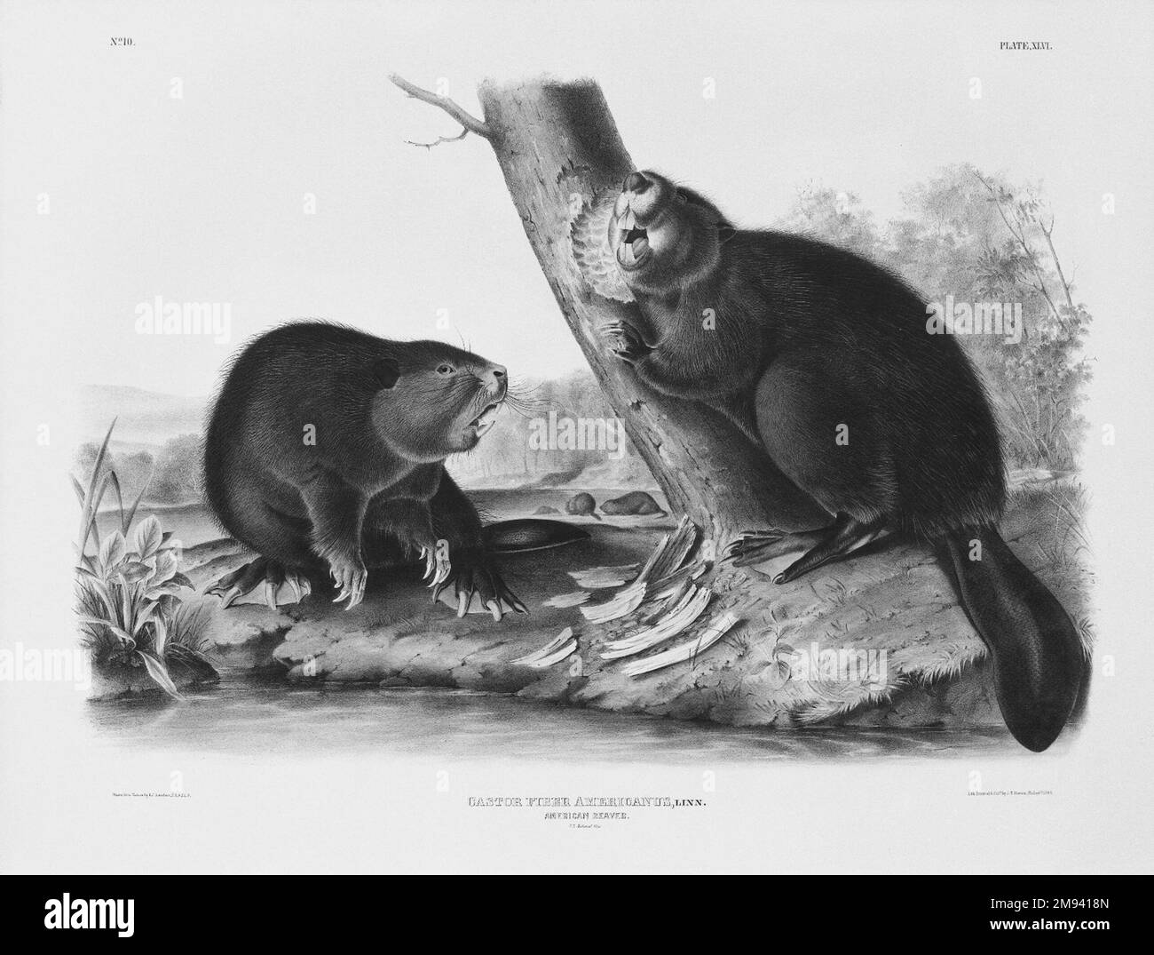 68 6 Black and White Stock Photos & Images - Alamy