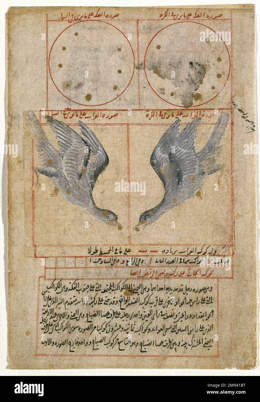 The Constellation of Corvus the Raven, Folio from Suwar al-Kawakib al-Thabita (The Book of Fixed ...