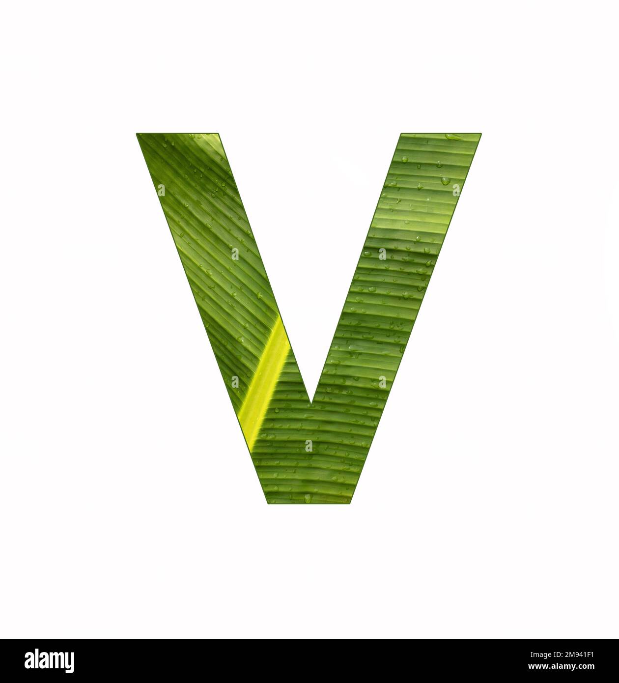 Alphabet Letter V - Banana plant leaf background Stock Photo - Alamy