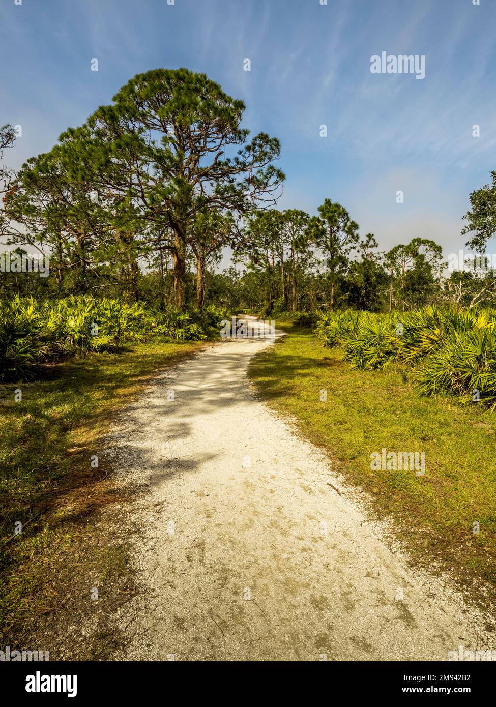 Lemon bay preserve hi-res stock photography and images - Alamy