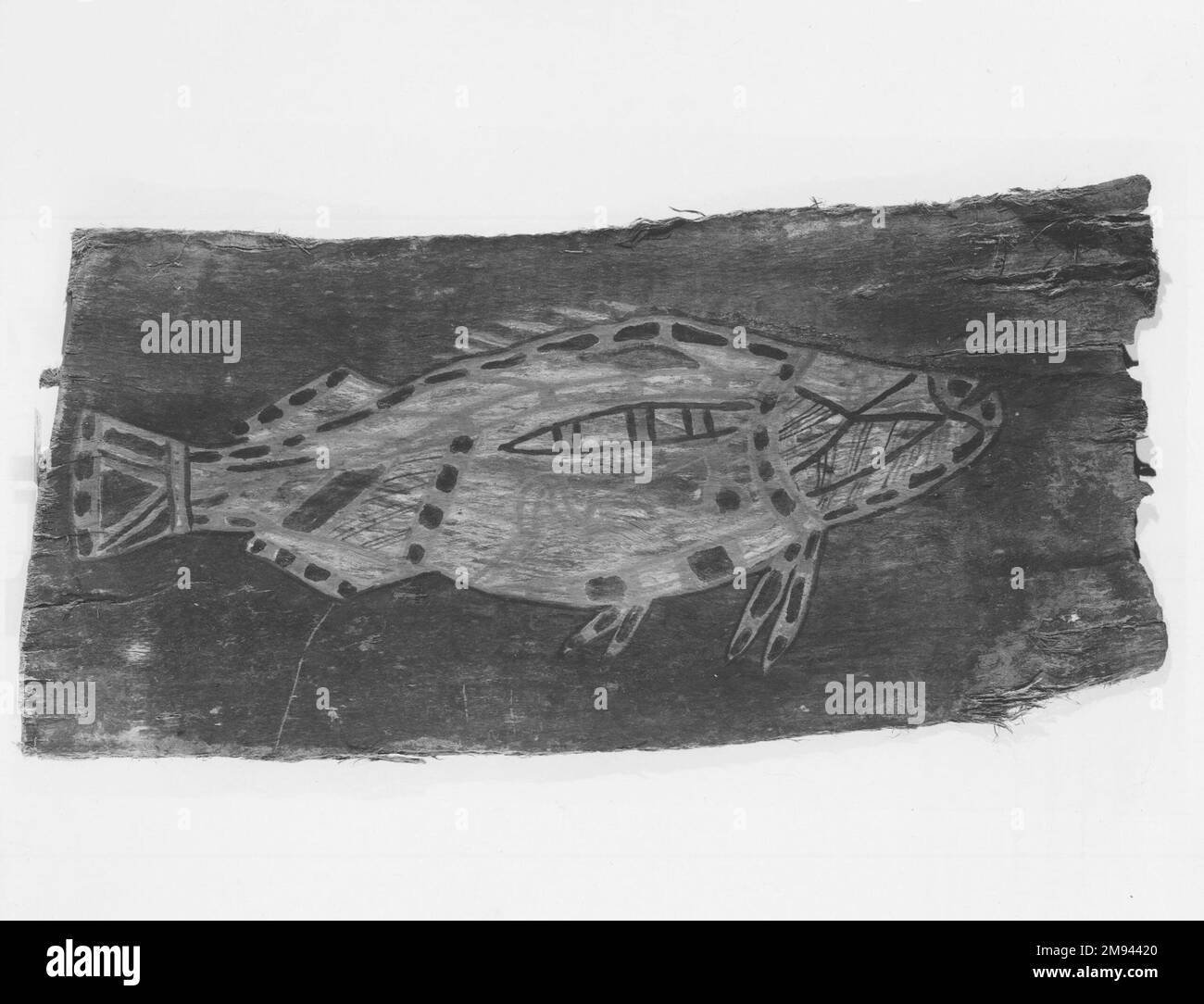 Bark Painting of Barramundi Fish Aboriginal Australian. Bark Painting ...