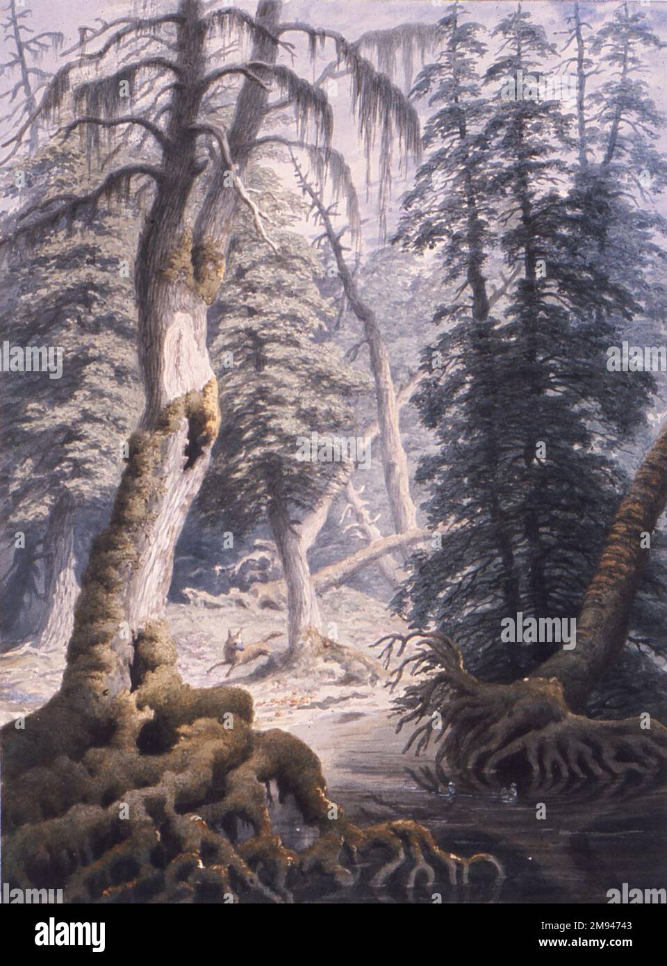 A Cedar Swamp George Harvey (American, 1801-1878). A Cedar Swamp ...