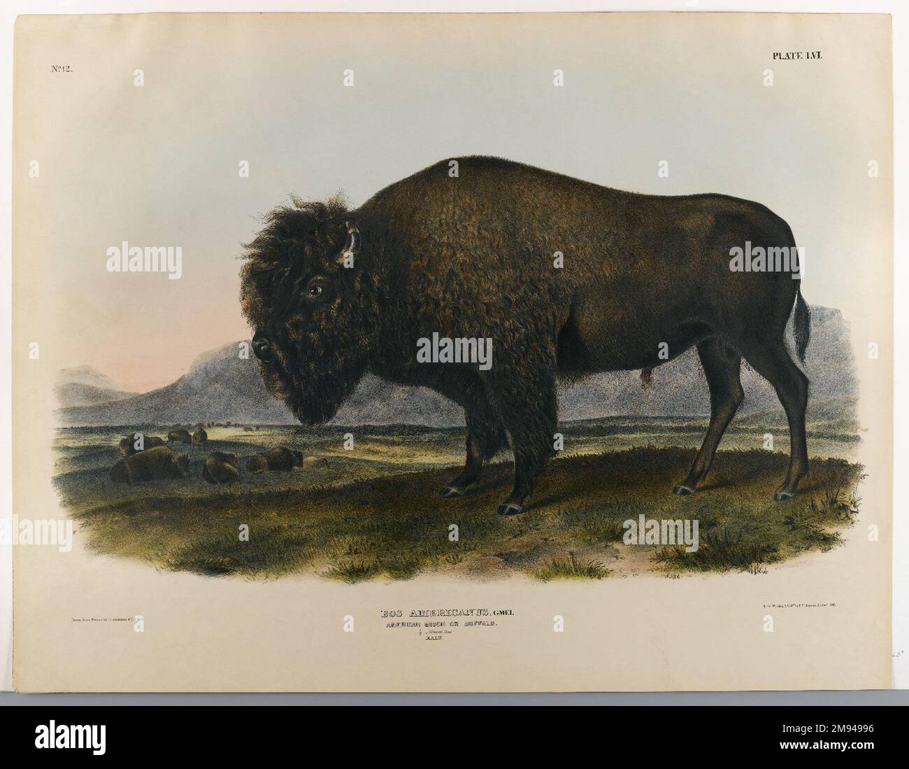 21 x 26 1 2 hi-res stock photography and images - Alamy