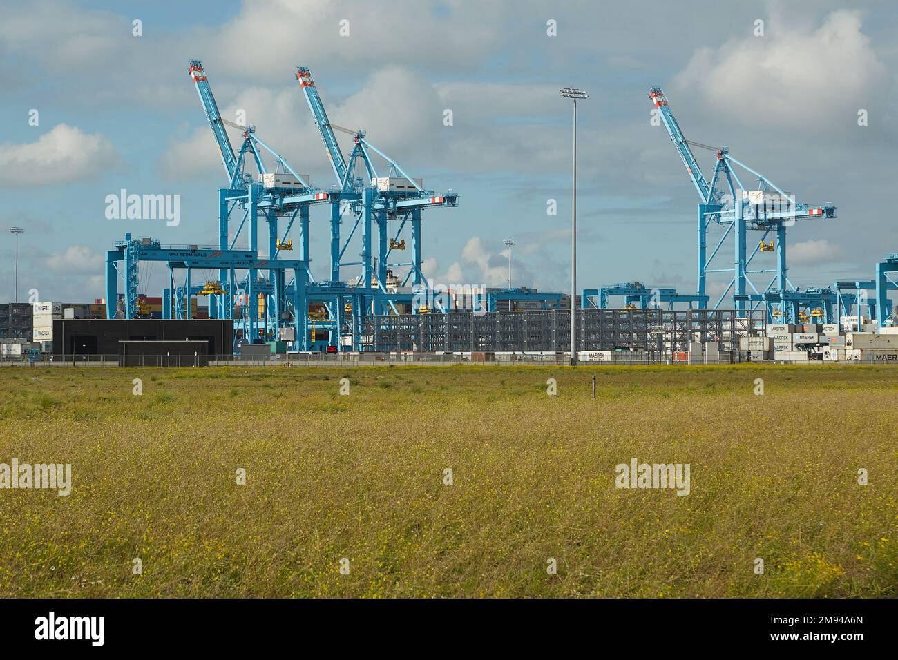 Cranes for cargo containers in freight terminal Stock Photo - Alamy