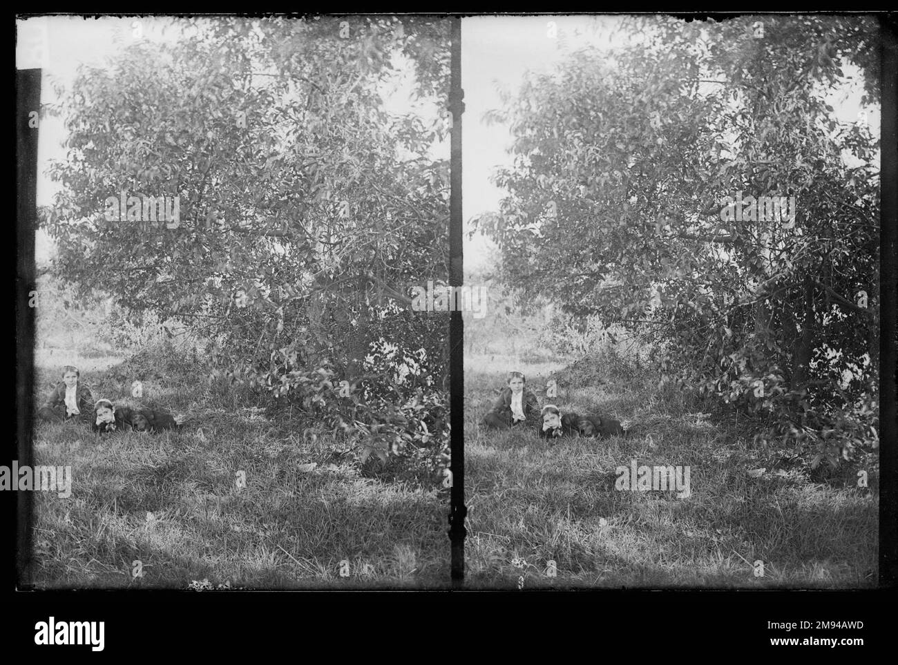 Marshall pond Black and White Stock Photos & Images - Alamy