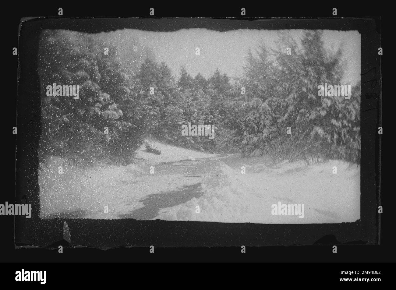 Snow Trees, Prospect Park, Brooklyn George Bradford Brainerd (American ...