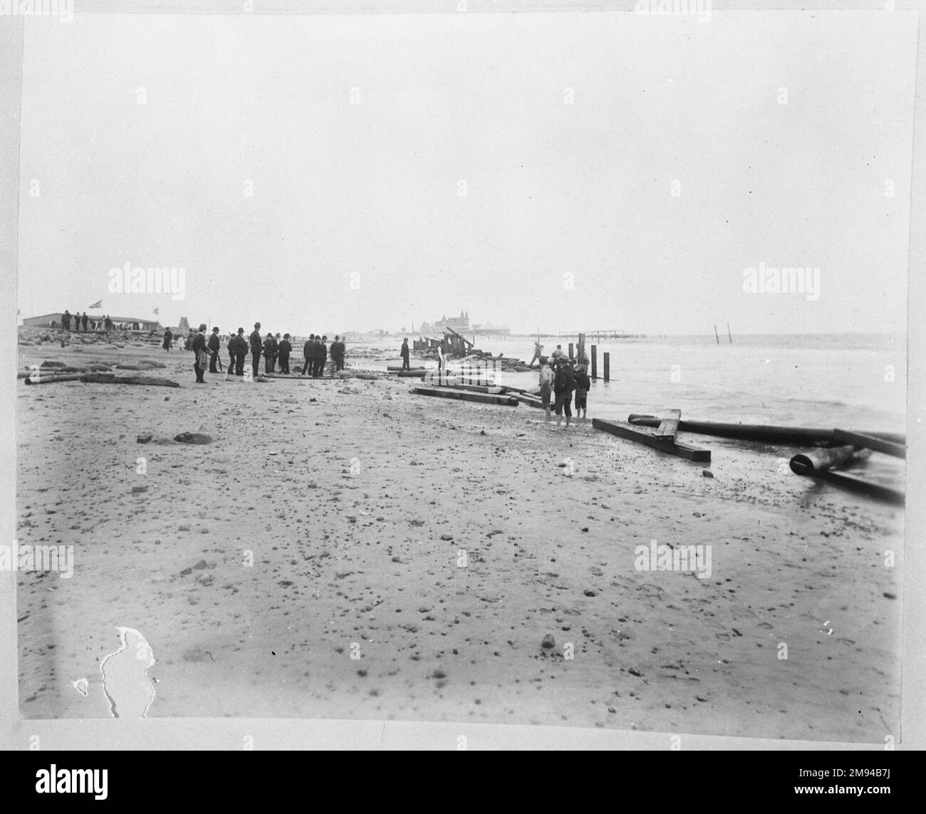 [Untitled] Breading G. Way (American, 1860-1940). , ca. 1888. Cellulose ...