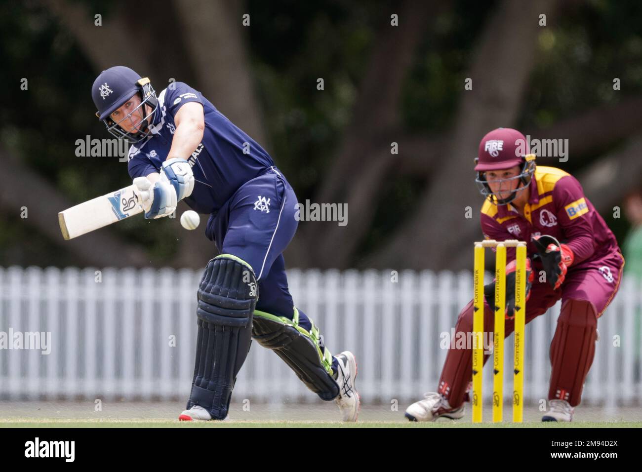 Rhiann O’Donnell of Victoria bats during the Women's National Cricket ...
