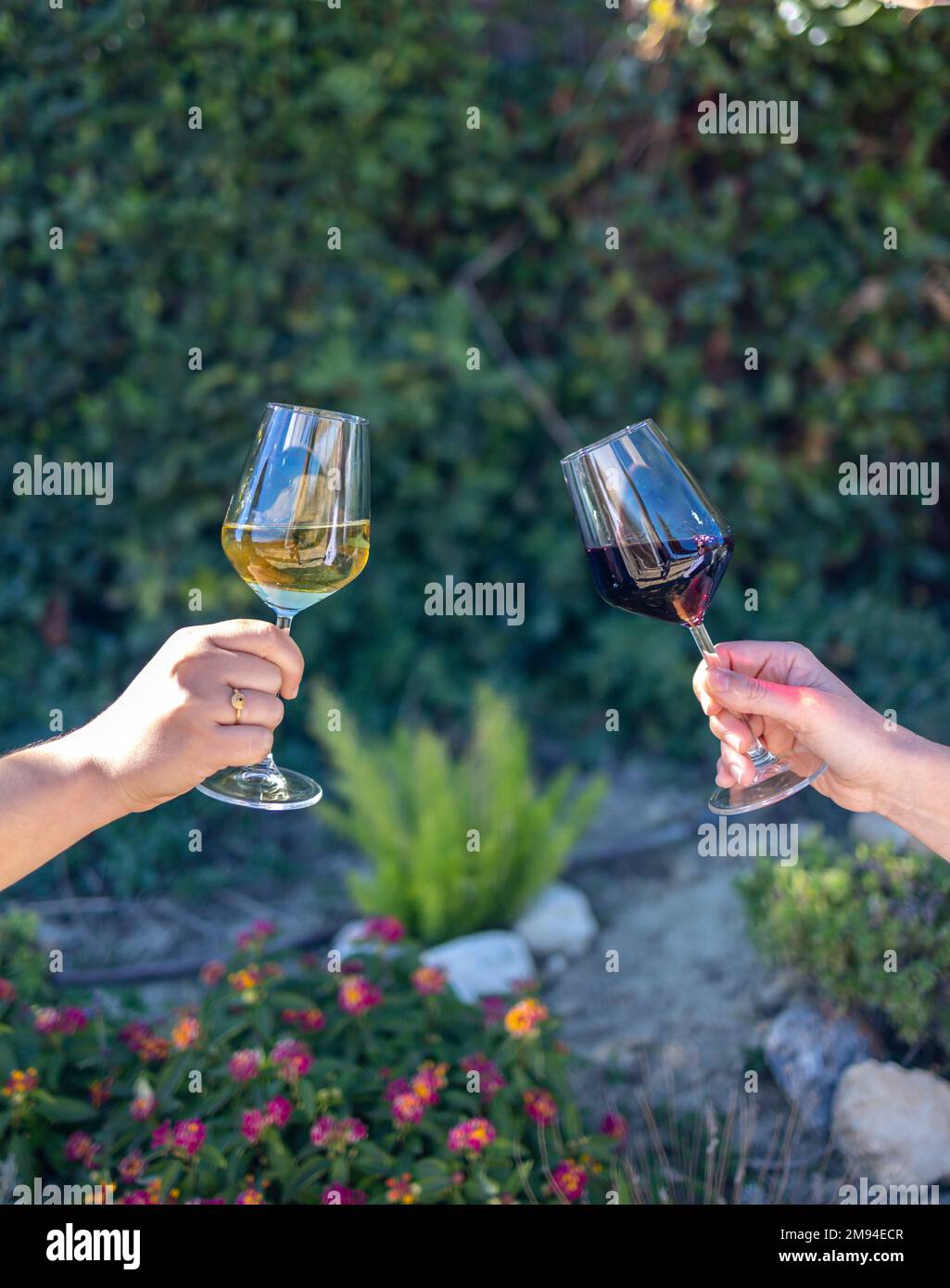 A closeup of cheering with wine glasses Stock Photo - Alamy